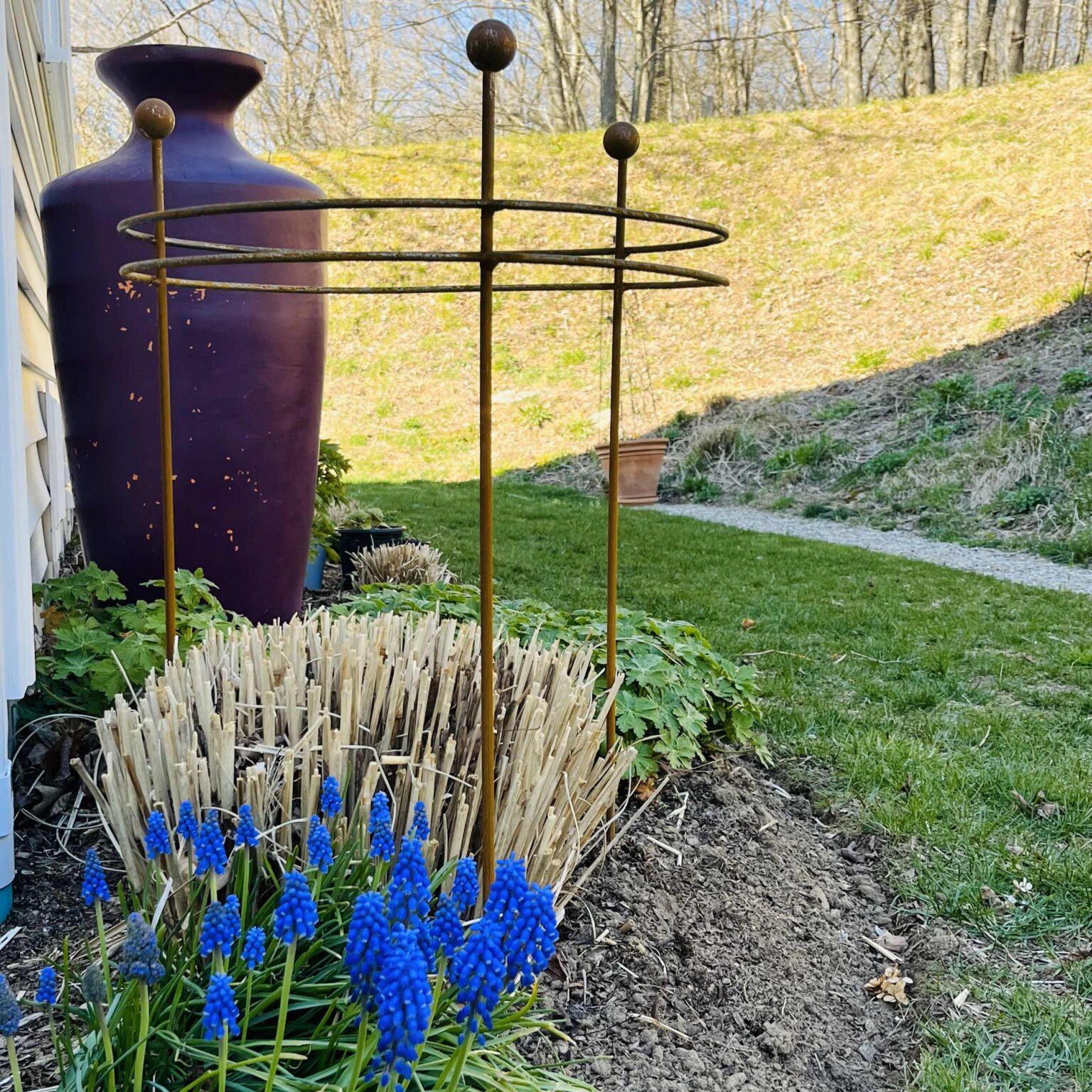 Double Ring Plant Support - Twist And Stake